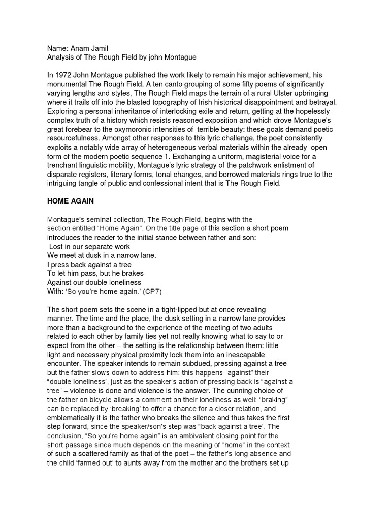 Assignment Irish | PDF | Irish Language | Poetry