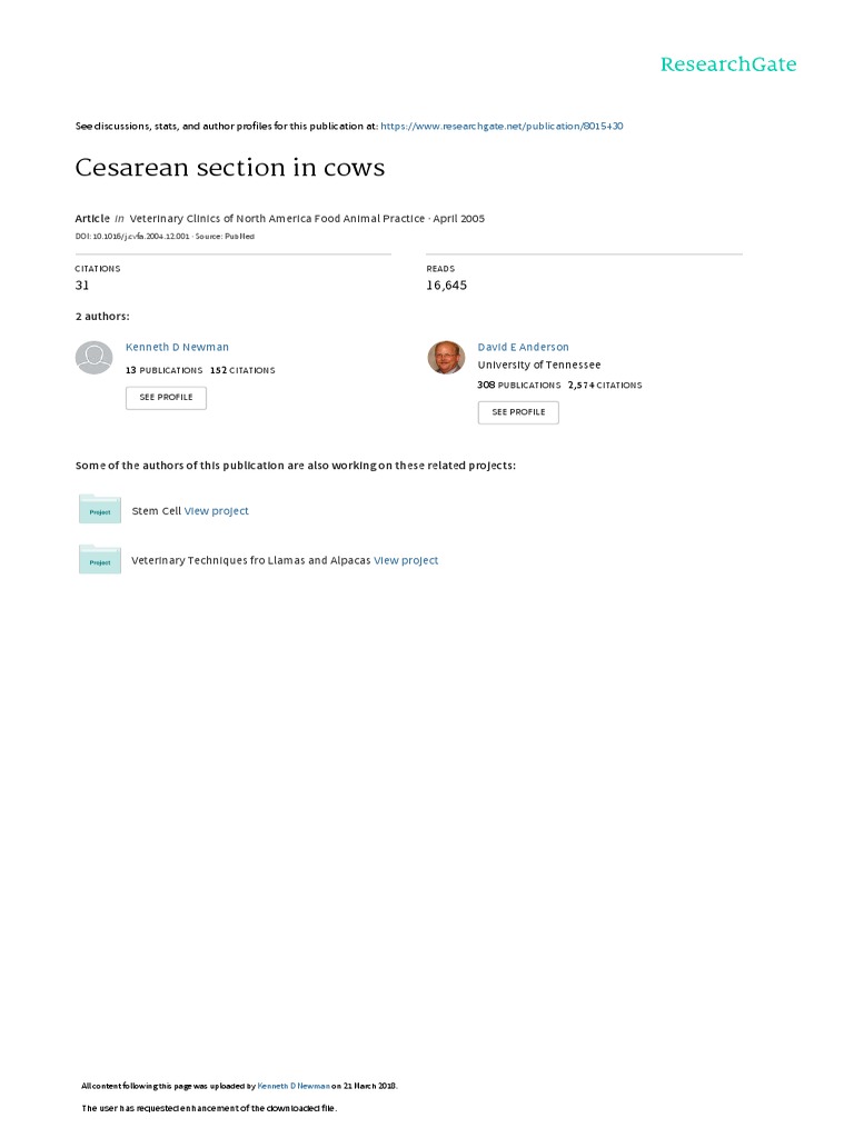 Cesarean Sections in Cows | PDF | Caesarean Section | Surgical Suture