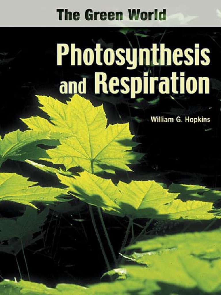 Photosynthesis and Respiration | PDF | Stoma | Leaf