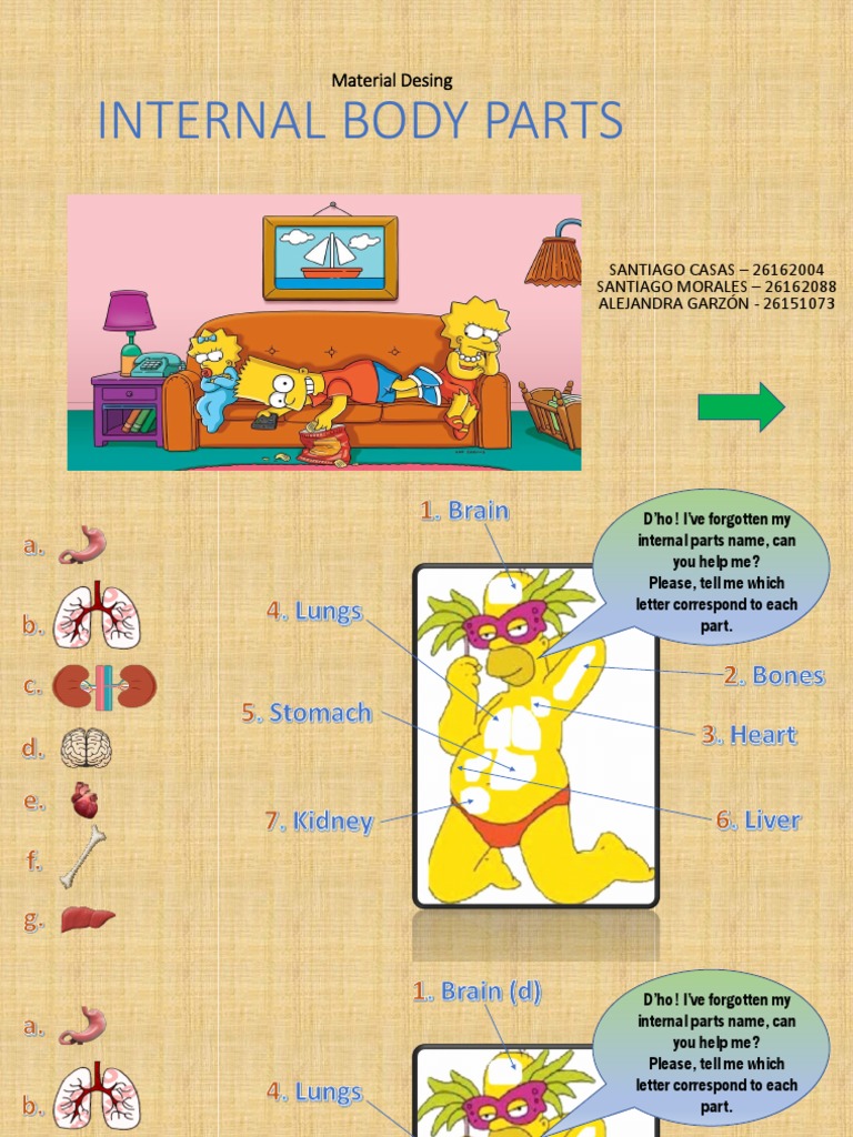 Internal Body Parts Definitive | PDF | Organ (Anatomy) | Medical ...