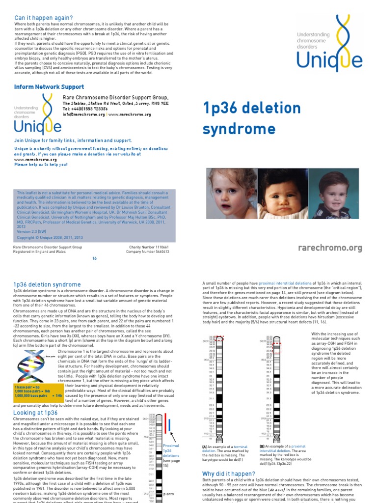 1p36 Deletion Syndrome | PDF | Karyotype | Chromosome