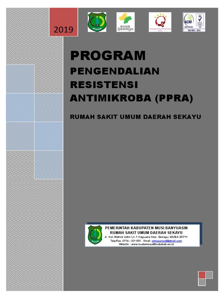 Program Kerja PPRA RS Sekayu BR | PDF