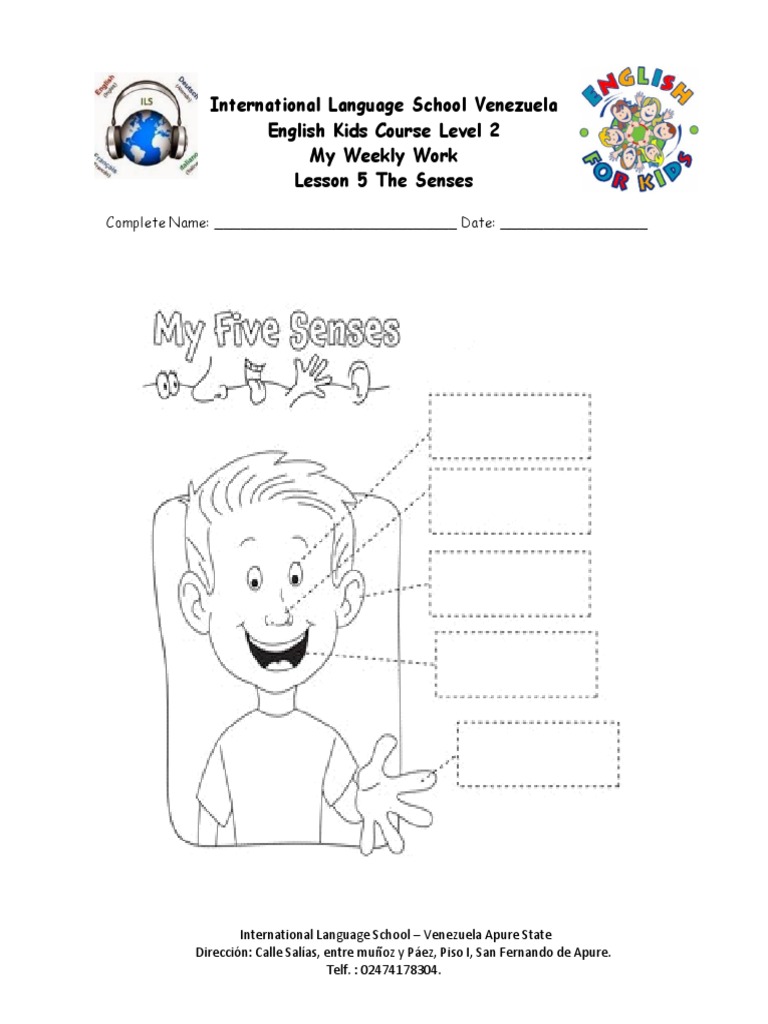 Homework Lesson 5 The Senses | PDF