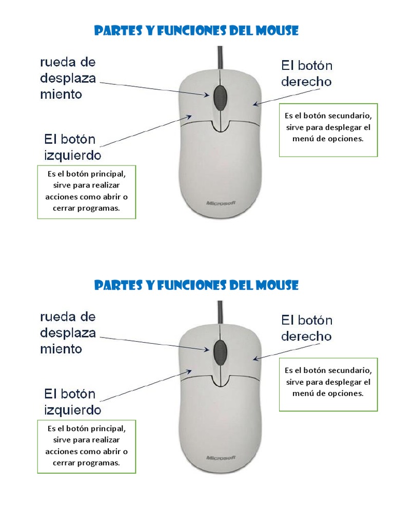 Partes y Funciones Del Mouse
