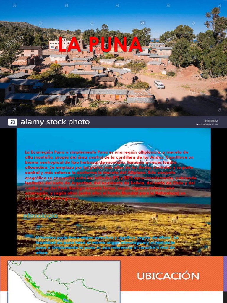 La Puna | PDF | Ciencias de la Tierra | Geografía Física