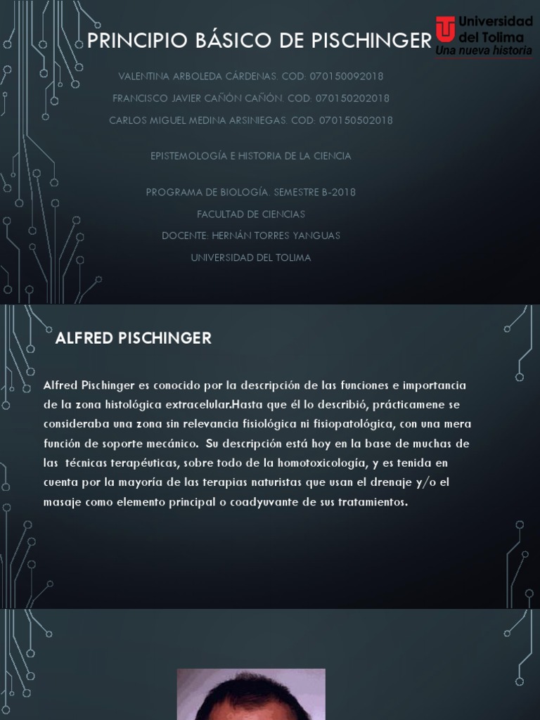 Principio Básico de Pischinger | PDF | Estrés (biología) | Biología ...