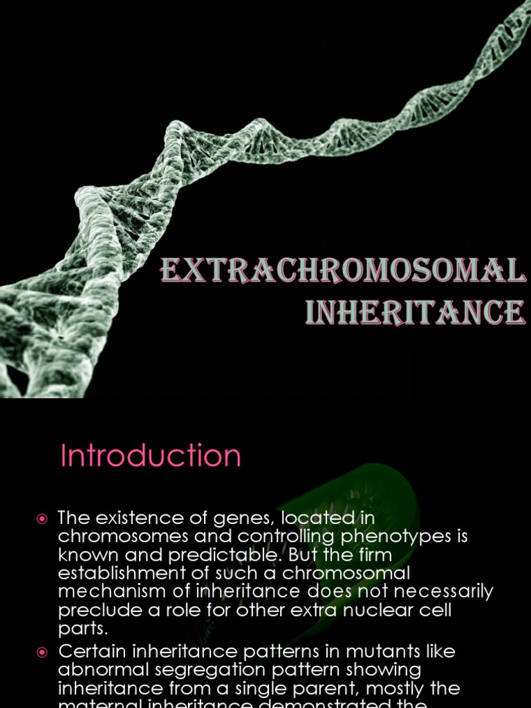 Extrachromosomal Inheritance | PDF | Chloroplast | Cell Nucleus