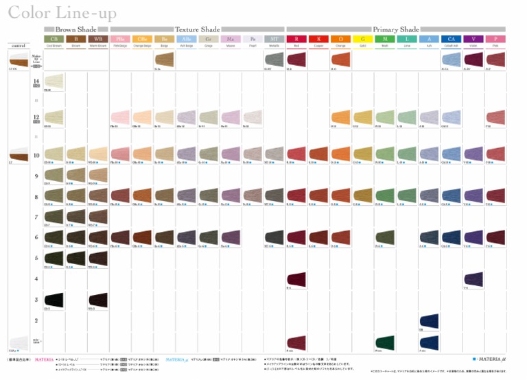 Lebel Color Chart | PDF
