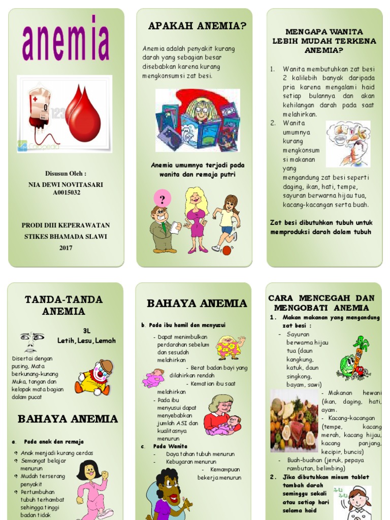 Leaflet Anemia | PDF