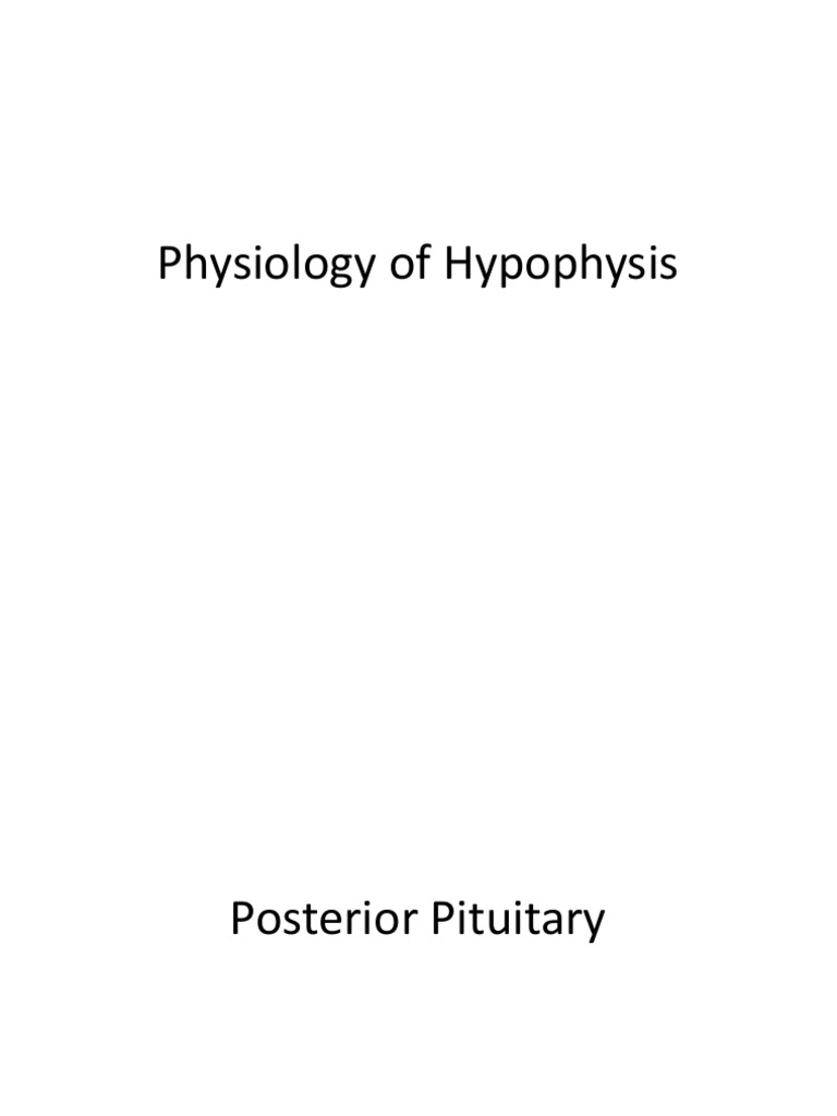 Physiology of Hypophysis | PDF