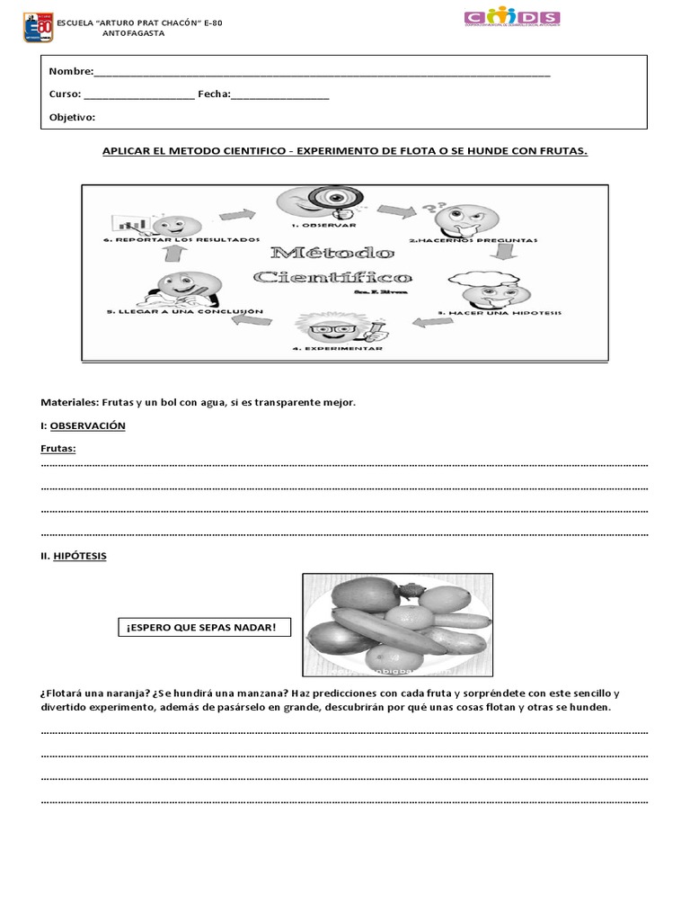 Hoja De Trabajo Sobre Densidad Y Flotabilidad Cómo Calcular La