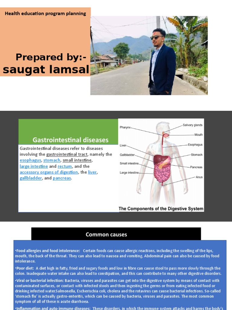 Health Education Programme Planning | PDF | Gastrointestinal Tract ...
