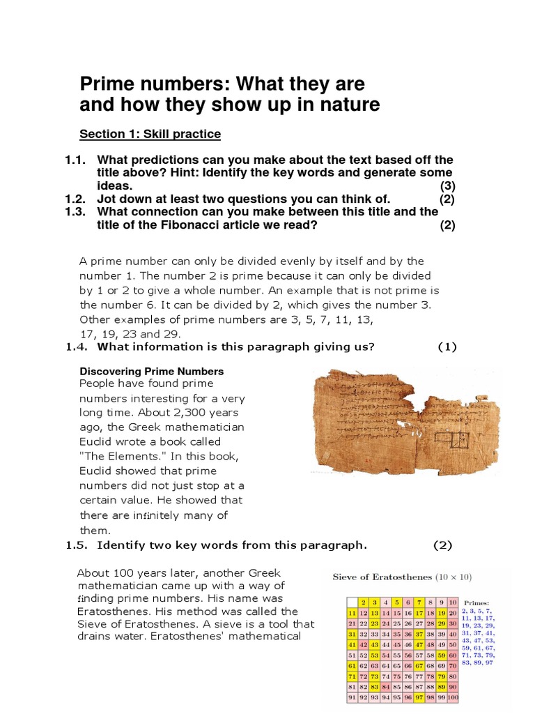 Prime Numbers Comprehension | PDF | Prime Number | Numbers