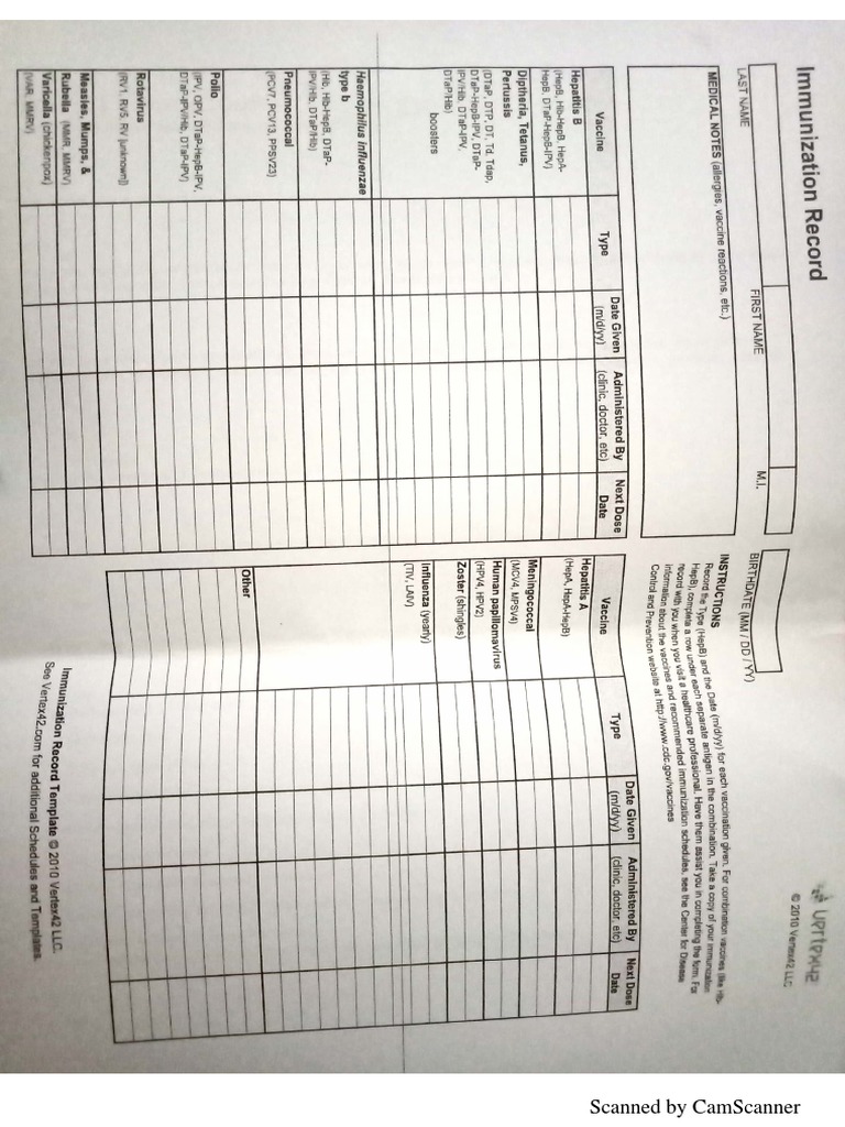 Immunization Record | PDF