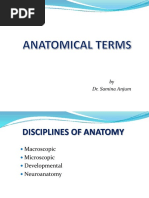 Musculoskeletal Anatomy and Physiology | PDF | Human Musculoskeletal ...