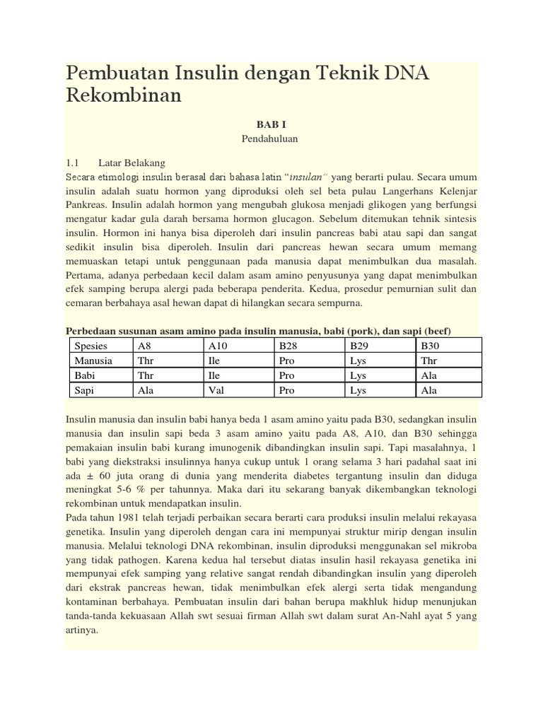 Pembuatan Insulin Dengan Teknik DNA Rekombinan | PDF