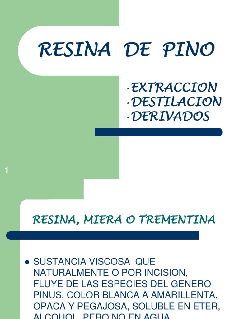 Usos y extracción de resina de pino | PDF | Naturaleza