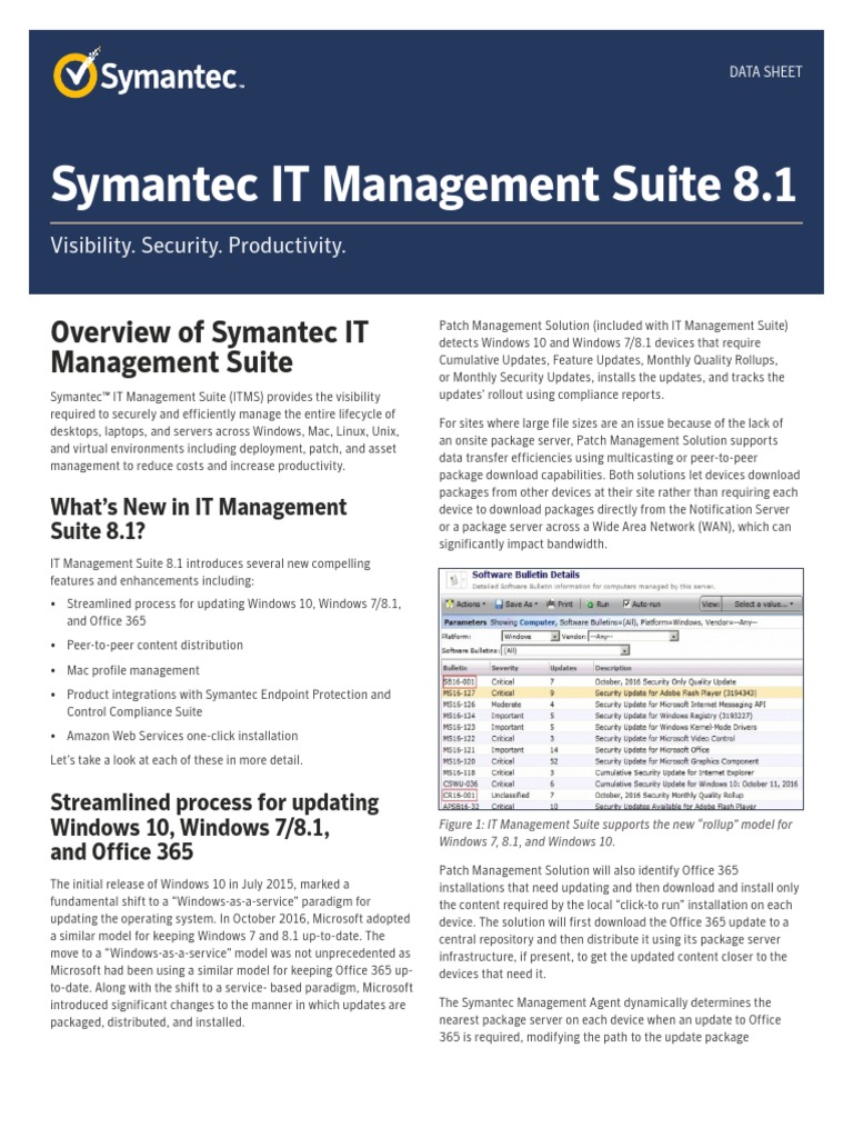 It Management Suite en | PDF | Office 365 | Microsoft Windows