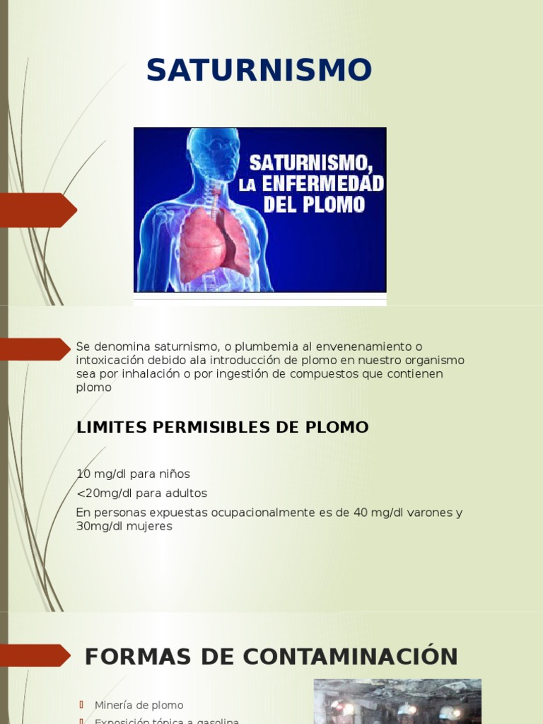 Saturnismo Edyson | PDF
