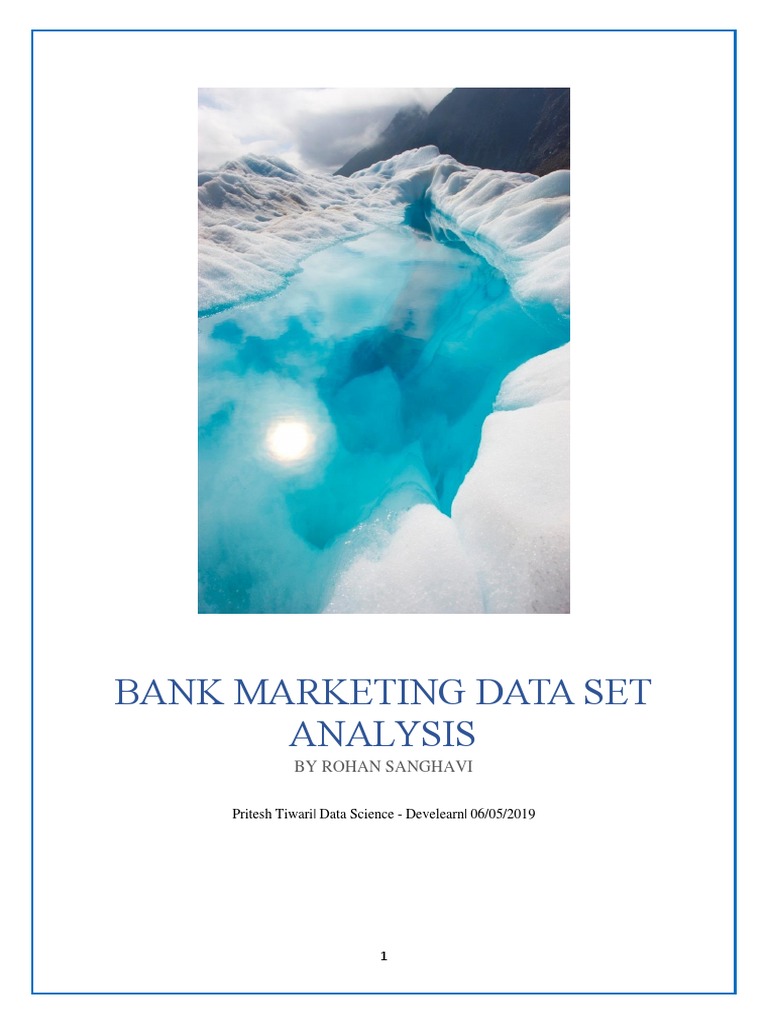 Bank Marketing Data Set Analysis | PDF | Economies | Business