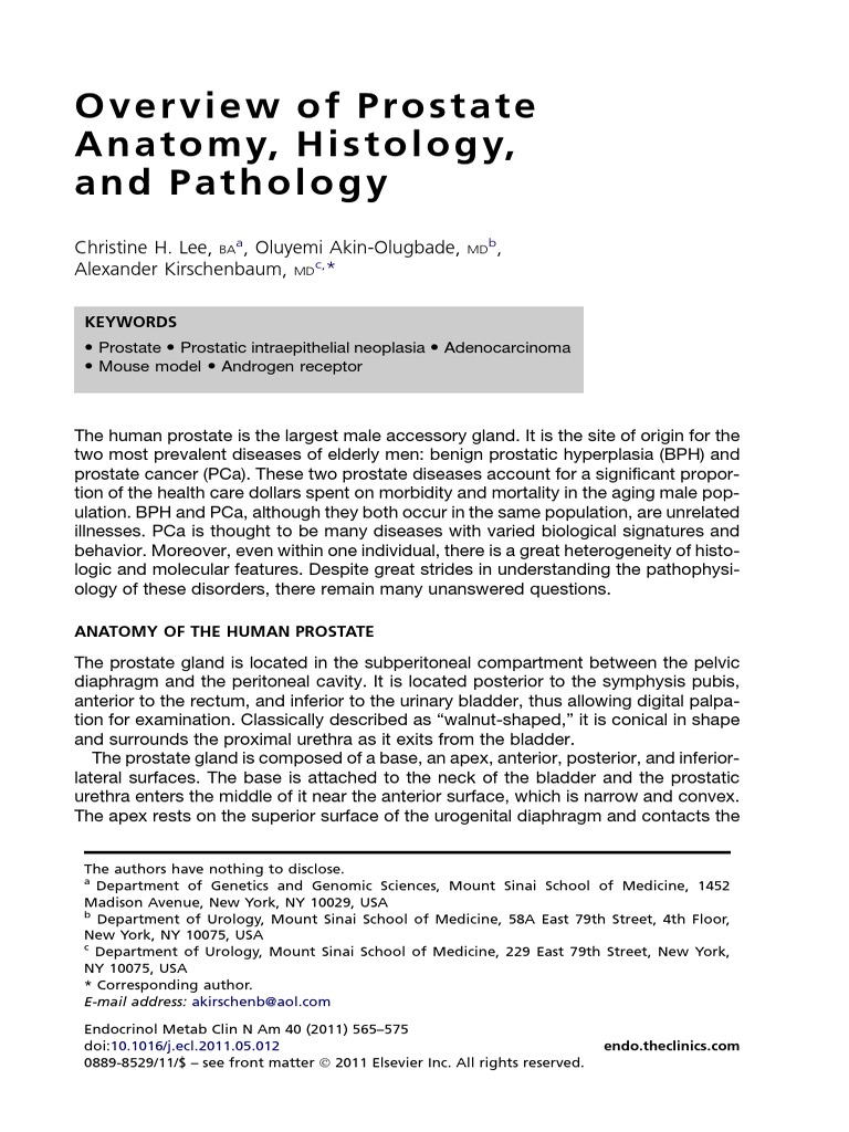 Overviewofprostate Anatomy, Histology, Andpathology: Christine H. Lee ...