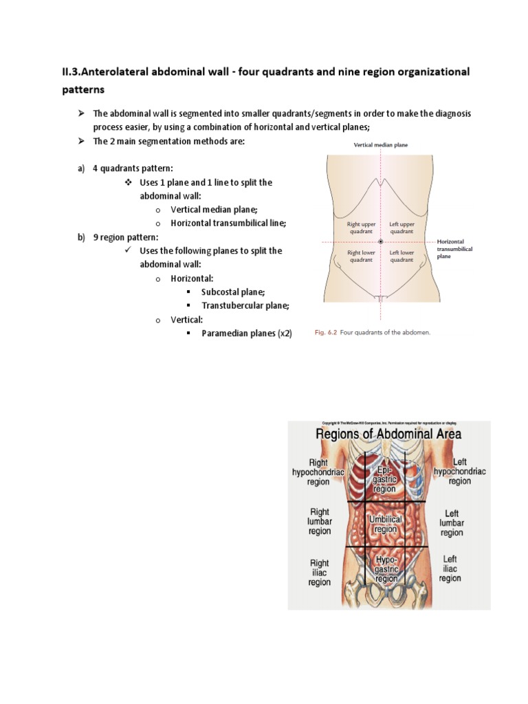 II.3.Anterolateral Abdominal Wall | PDF