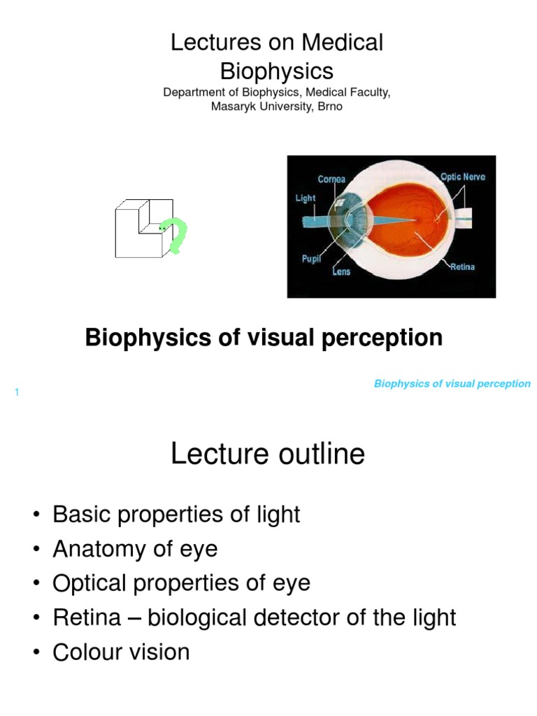 Visual Perception in Biophysics Lectures | PDF | Lens (Optics) | Human Eye