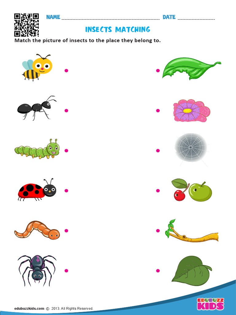 8 Match-Insects PDF | PDF | Games & Activities | Computers
