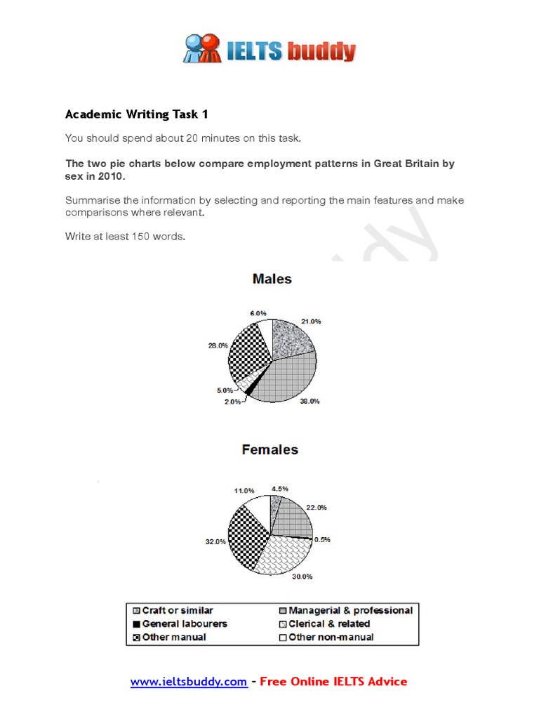 Ielts Academic Writing Practice Test 3 | PDF