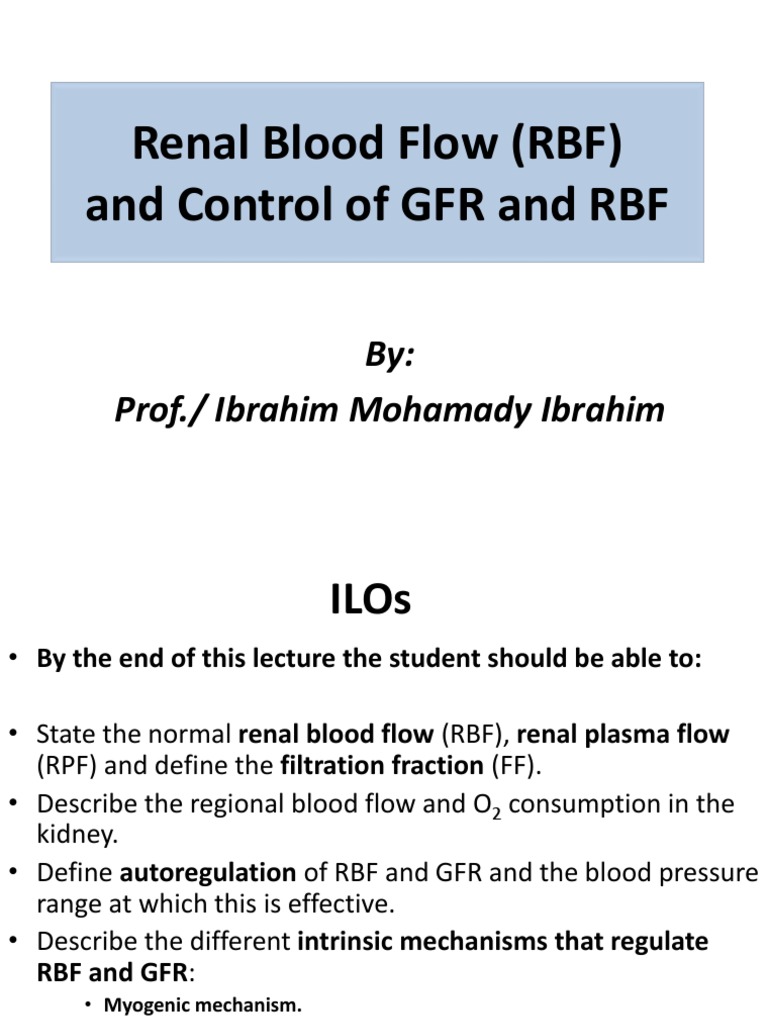 Renal Blood Flow (RBF) and Control of GFR and RBF: By: Prof./ Ibrahim ...