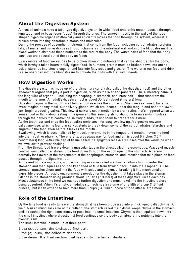 Digestive System | PDF | Human Digestive System | Gastrointestinal Tract