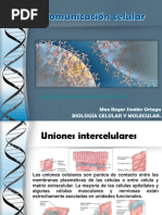 Las Uniones GAP | PDF | Músculo | Contracción muscular