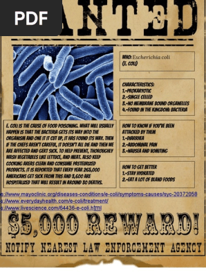 Most Wanted Bacteria Project