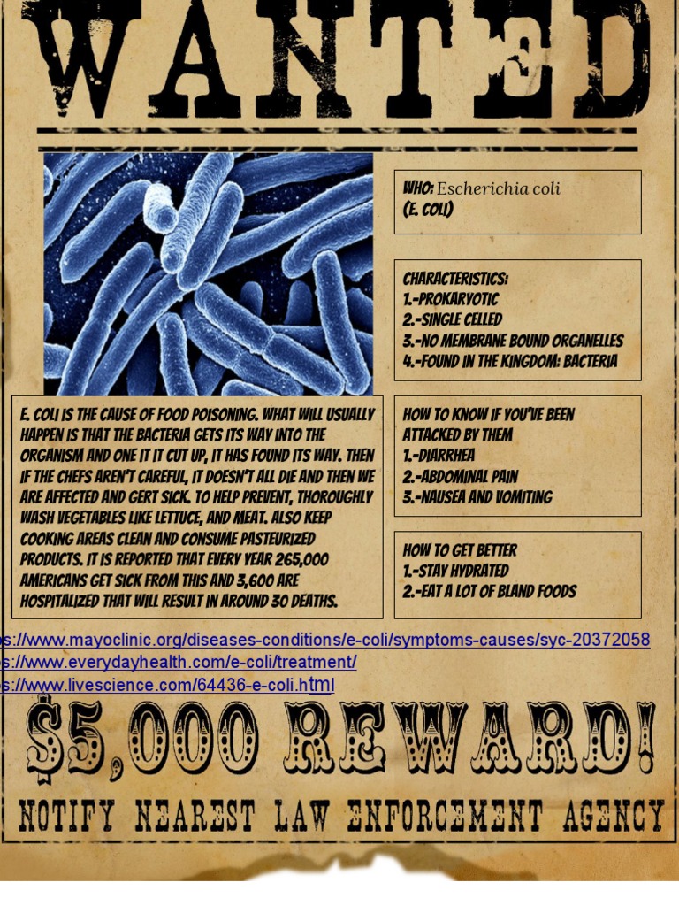 Wanted Poster | PDF
