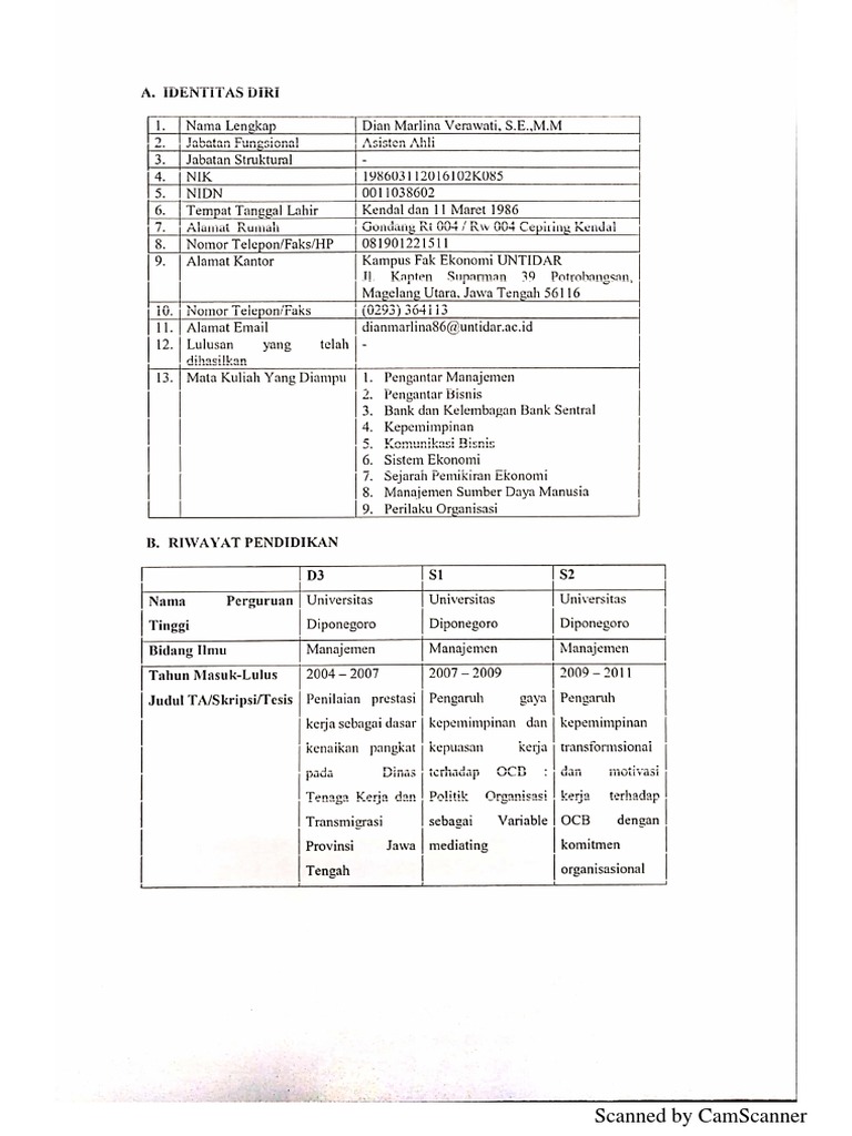 CV Dian 2019 | PDF