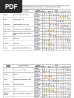 Método de Tres Bolillo | PDF