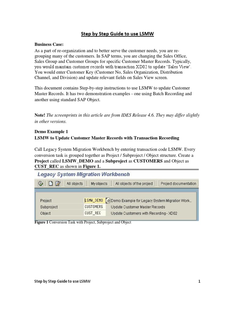 LSMW Step by Step | PDF | Icon (Computing) | File Format