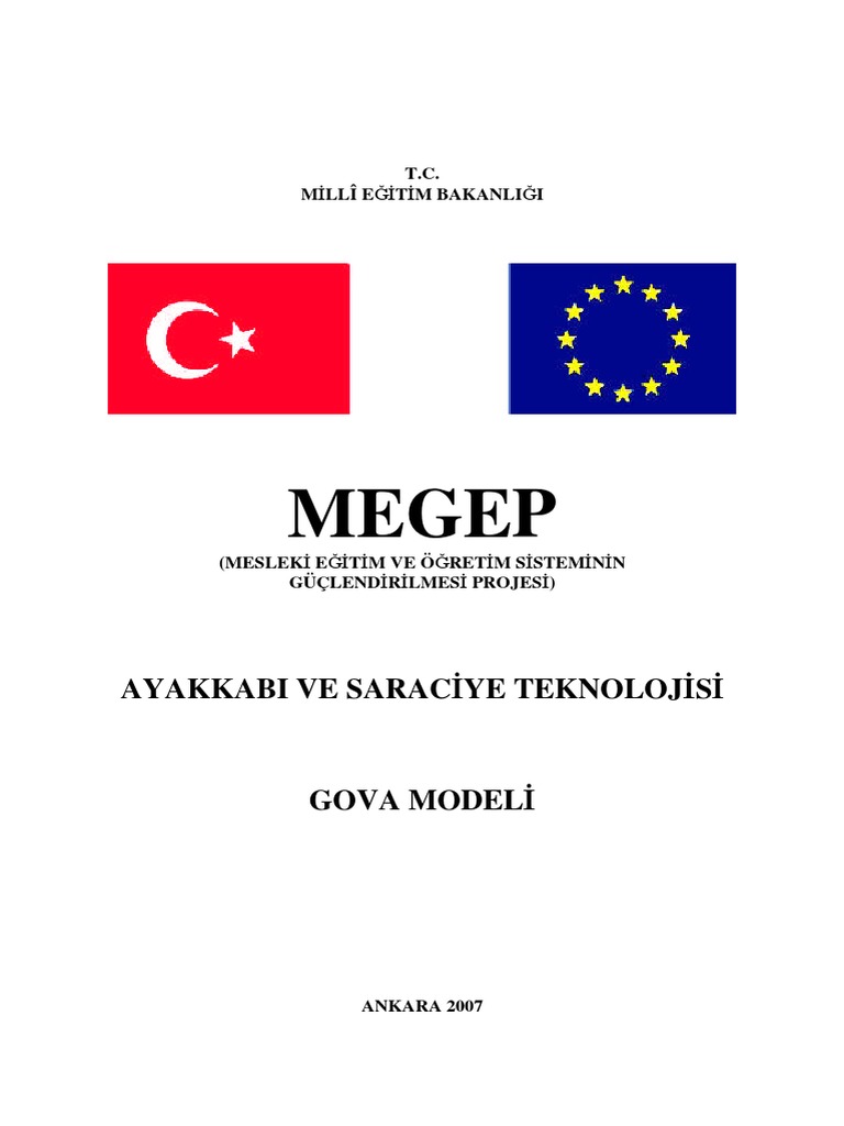 Gova Model | PDF