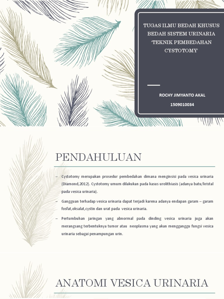 Cystotomy | PDF