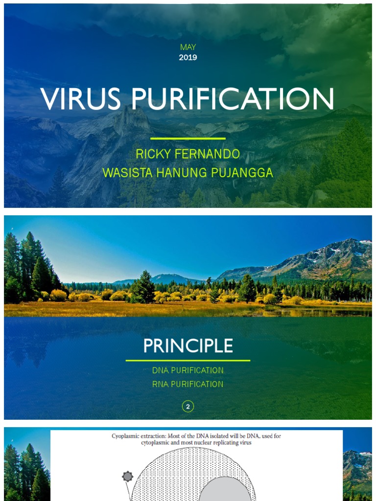 Virus Purification: Ricky Fernando Wasista Hanung Pujangga | PDF ...