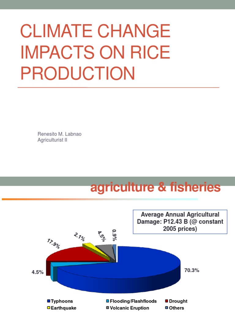 Rice and Climate Change | PDF | Global Warming | Climate Change