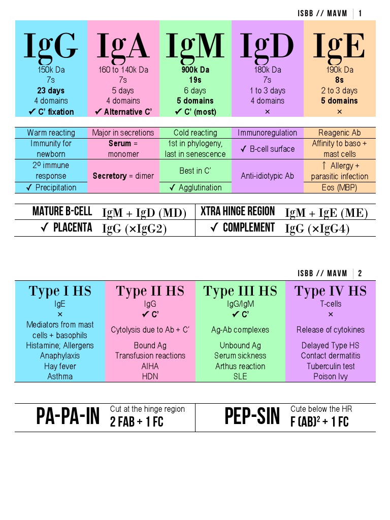 Igg Iga Igm Igd Ige | PDF | Immunoglobulin G | Systemic Lupus Erythematosus