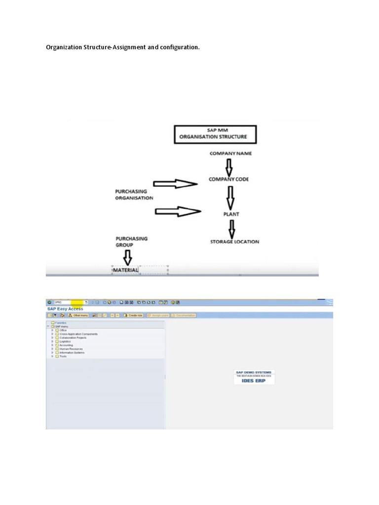 Organization Structure-Assignment and Configuration | PDF
