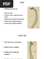 Understanding the Horse's Stay Apparatus | PDF | Skeletal System | Joints