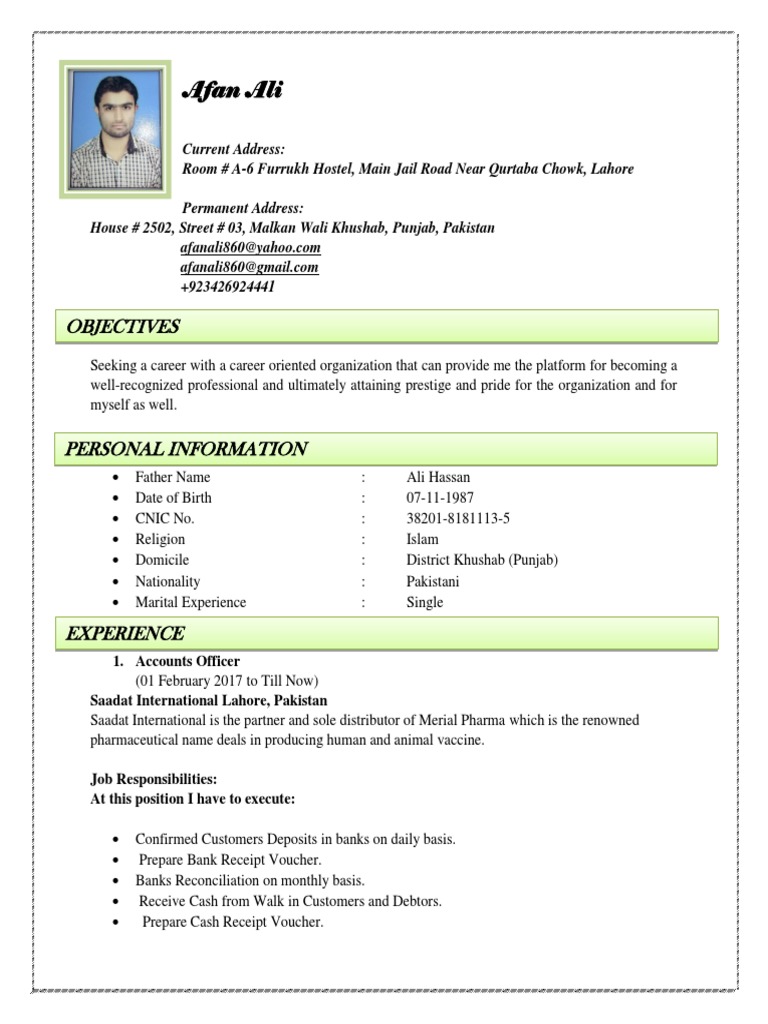 Afan Ali CV 2 | PDF | Voucher | Payments