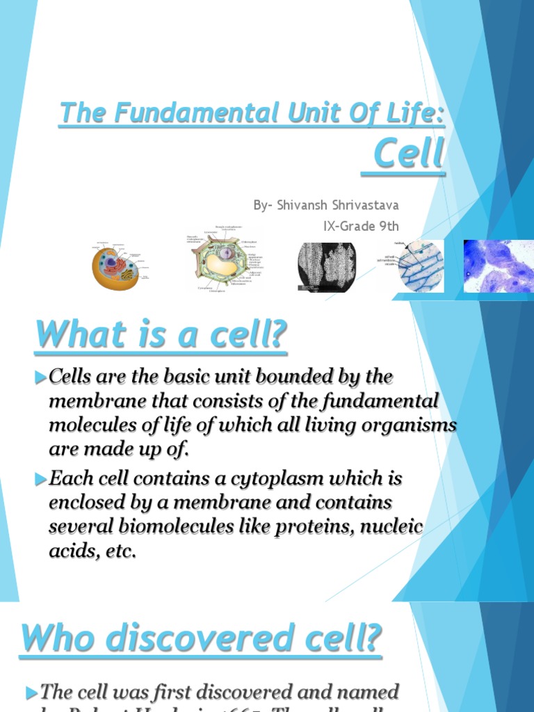 The Fundamental Unit of Life | PDF | Endoplasmic Reticulum | Cell (Biology)