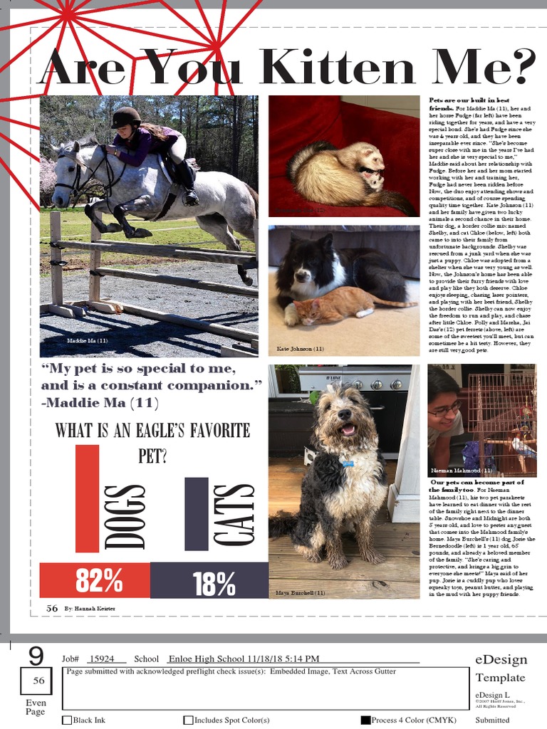 Pets Page | PDF | Domesticated Animals | Animals And Humans