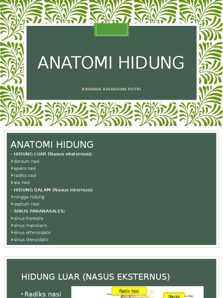 Struktur dan Fungsi Anatomi Hidung | PDF