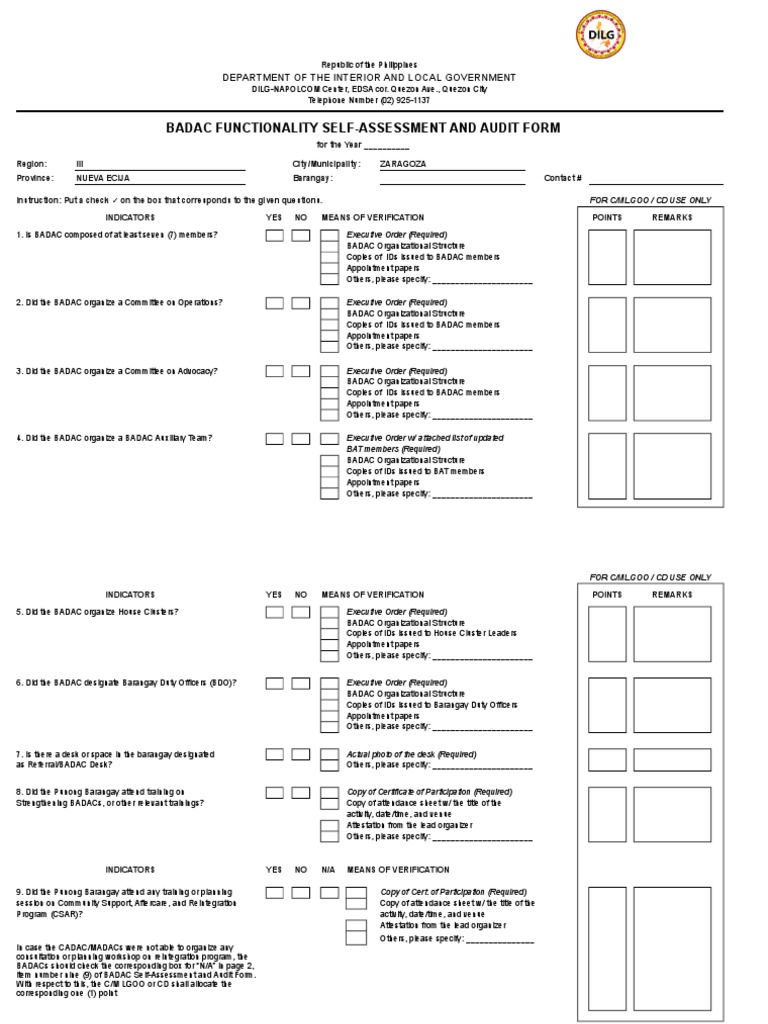 3-Badac Self-Assessment and Audit Form | Politics | Government