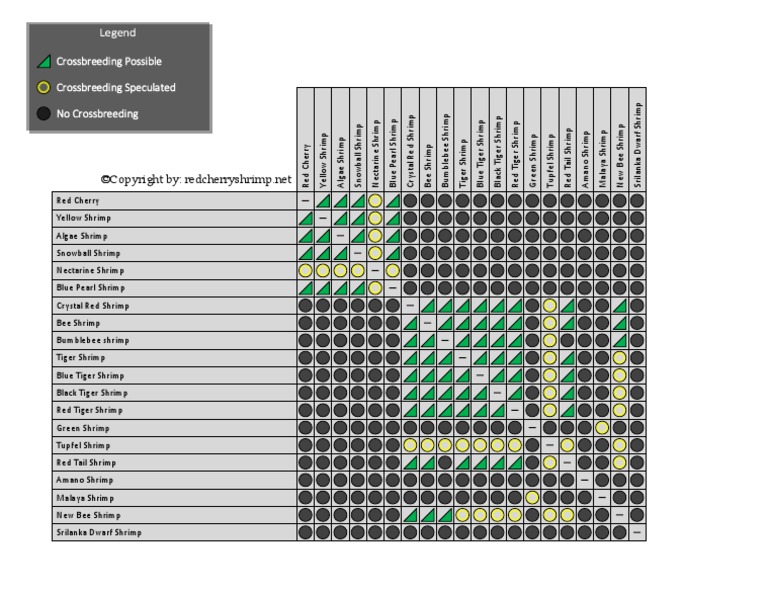 Shrimp Crossbreeding Chart | PDF | Bees | Nature